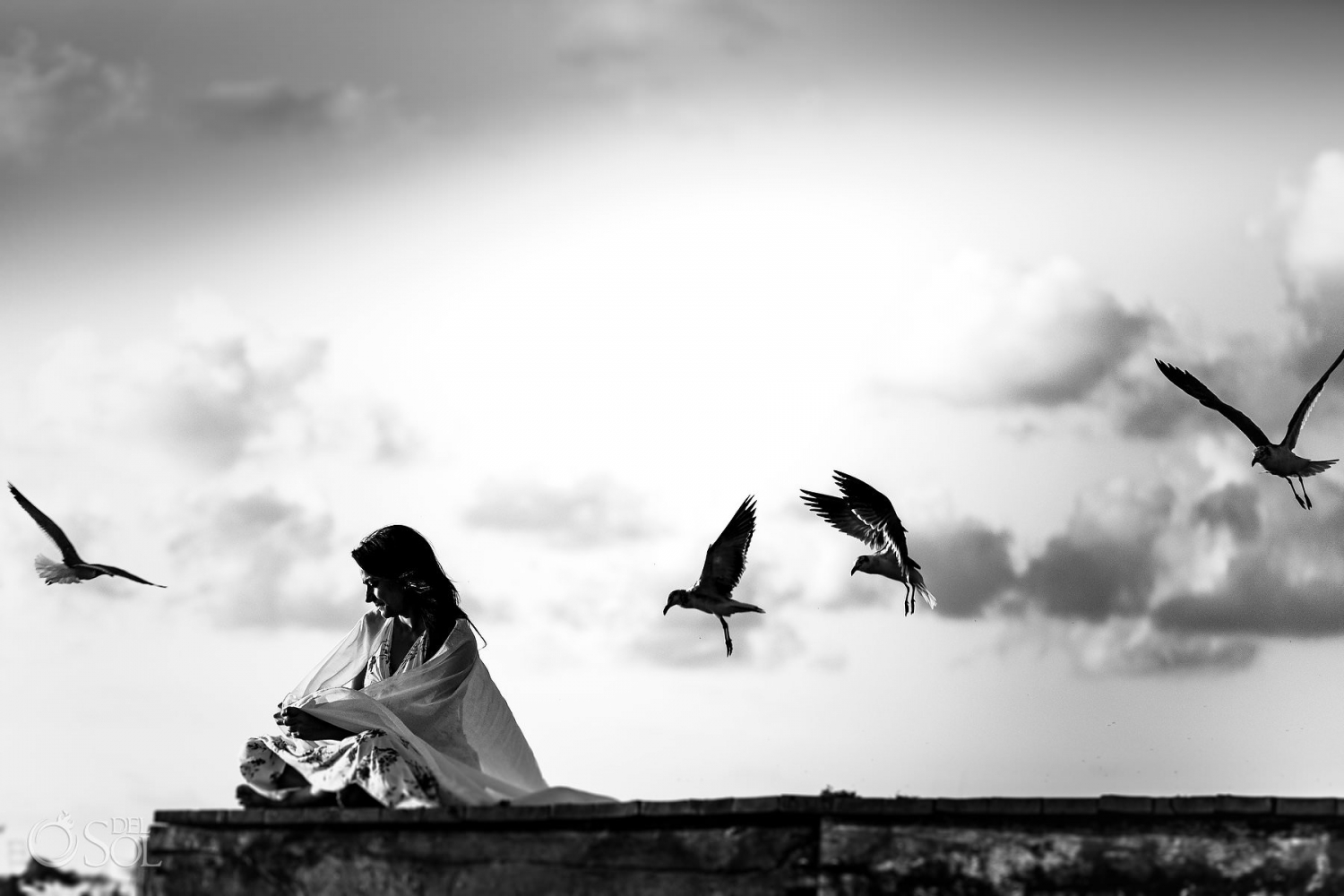 Wellness Therapy Healing Art - Wings to Fly - Del Sol Photography