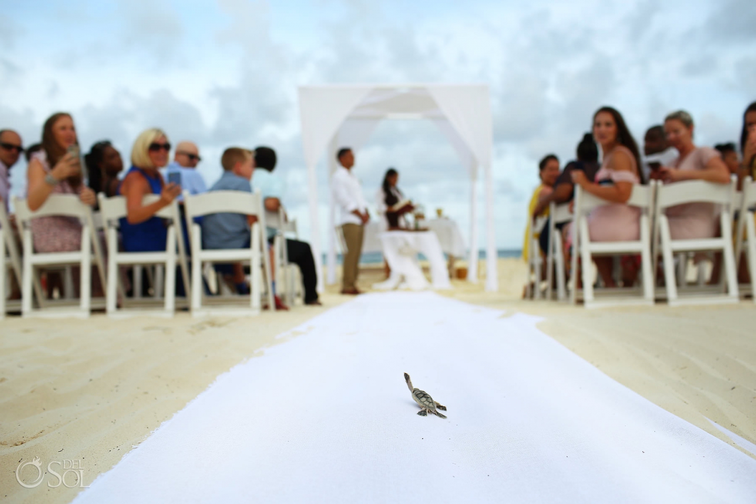 Best Of Del Sol Photography - Award winning Photographers - Mexico