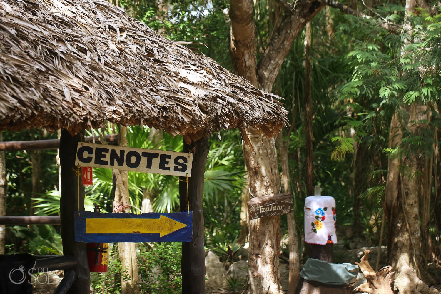 Who coordinates cenote ceremonies - Del Sol Photography